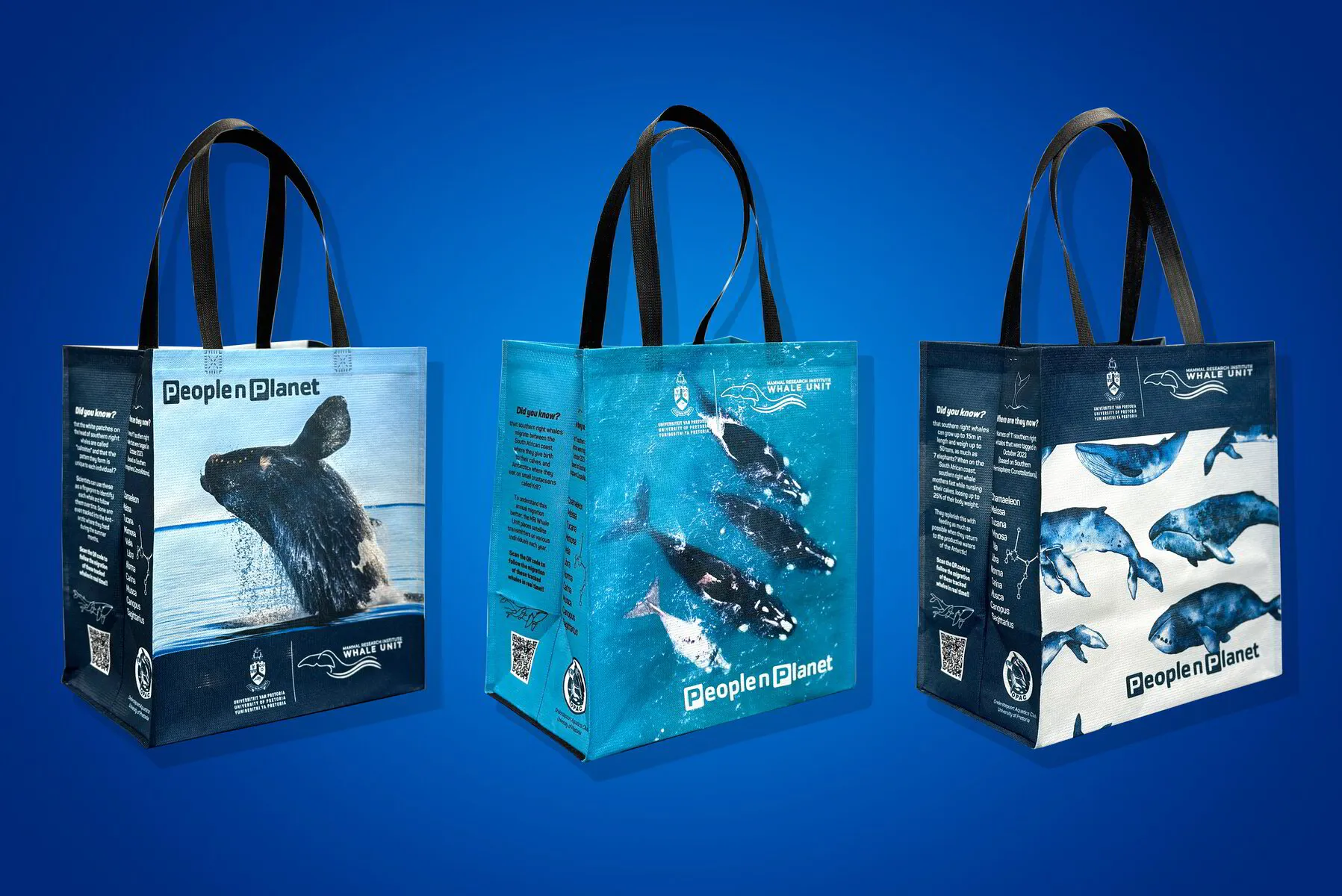 Pick n Pay And MRI Whale Unit Partner To ‘Save The Whales’ - StartUp ...