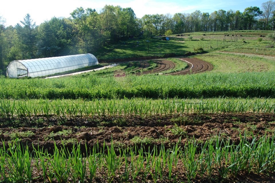 What To Consider When Starting A Farming Business