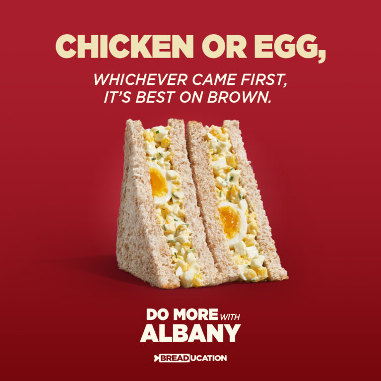 Albany: Crafting Trust Through Decades of Quality and Innovation in ...