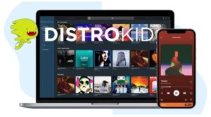 DistroKid’s Revolution: How a Bold Vision Transformed Music Distribution