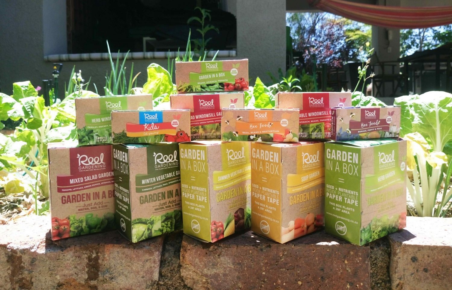 How Claire Reid Created Reel Gardening-A Social Enterprise Growing Food ...