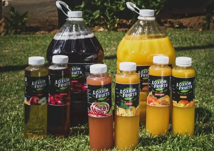 Squeezing Opportunity from the Streets of Soweto: The Rise of Loxion ...