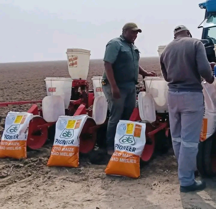 Fields to Full-Scale Farming: The Business Lessons Behind Mtambo ...
